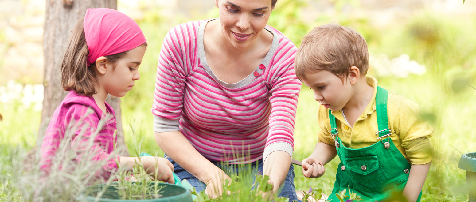 Prep and Wait: Early Spring Garden Tips - Go Live Smart :: Go Live Smart